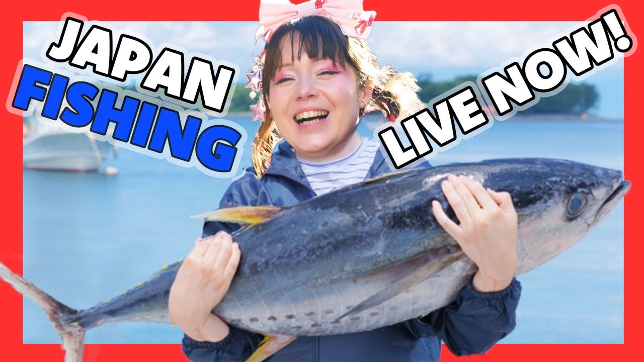 THE JAPAN CATFISH Challenge - YouTube