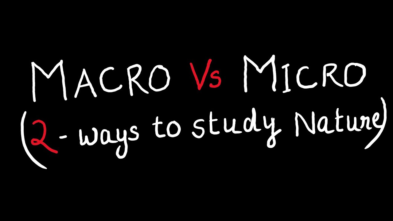 Macroscopic vs Microscopic Approach | Thermodynamics & Physics ...