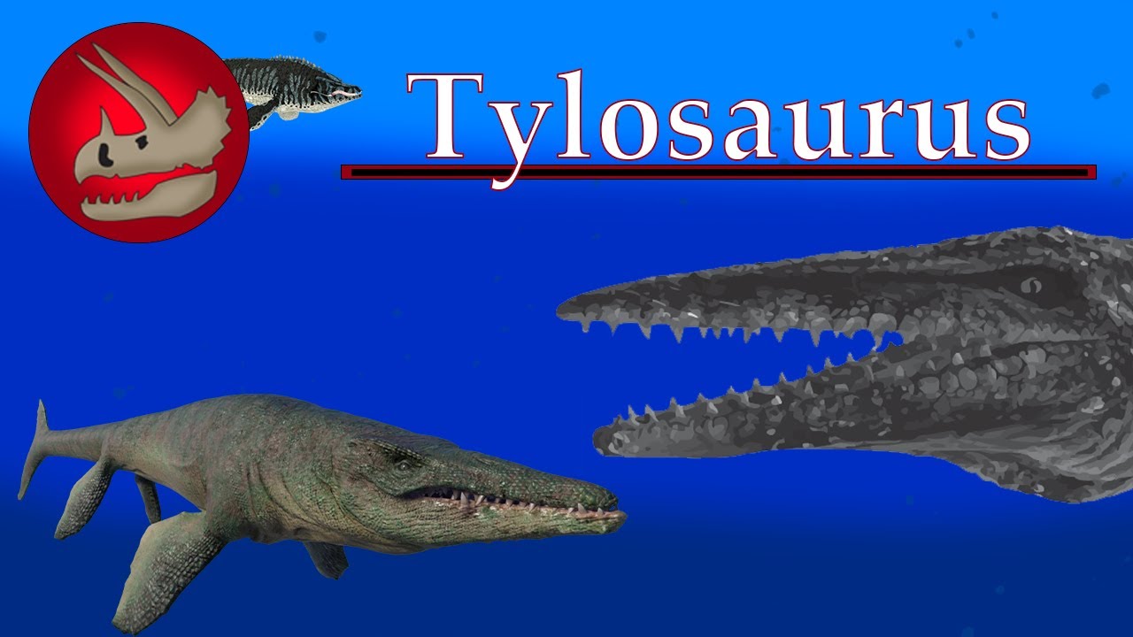 Tylosaurus | The Sea Monster of the American West | Dino Basics - YouTube