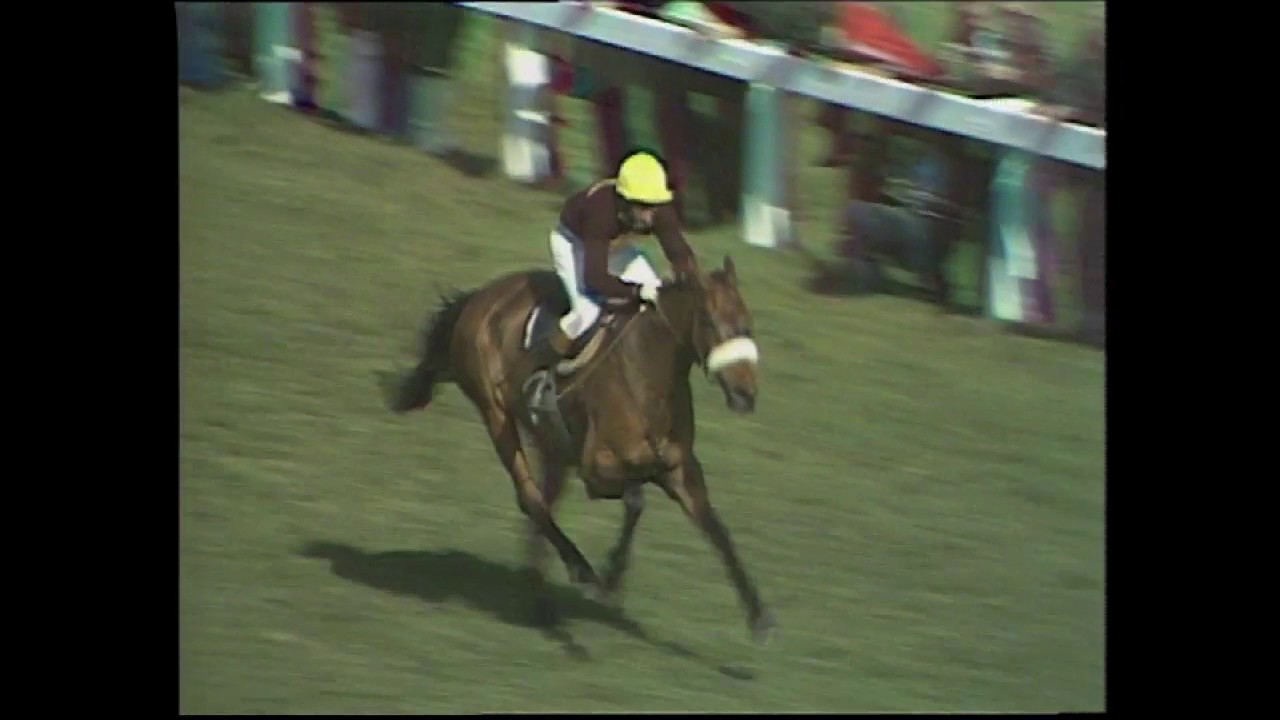 1977 Grand National - Red Rum's third victory - YouTube