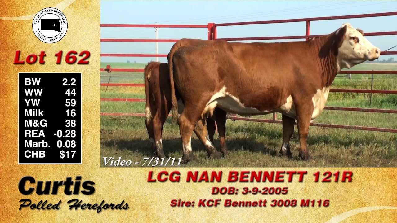 Lot 162: LCG NAN BENNETT 121R - YouTube