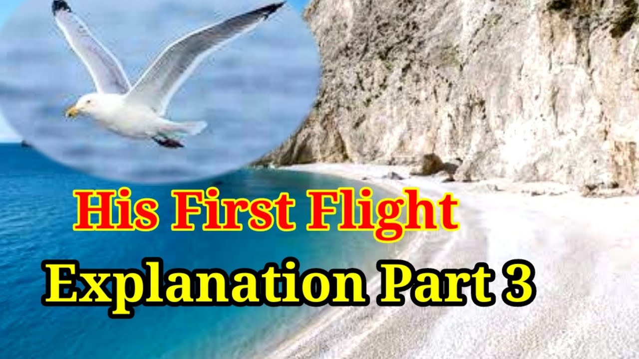His first flight explanation class 10 | part 3 - YouTube