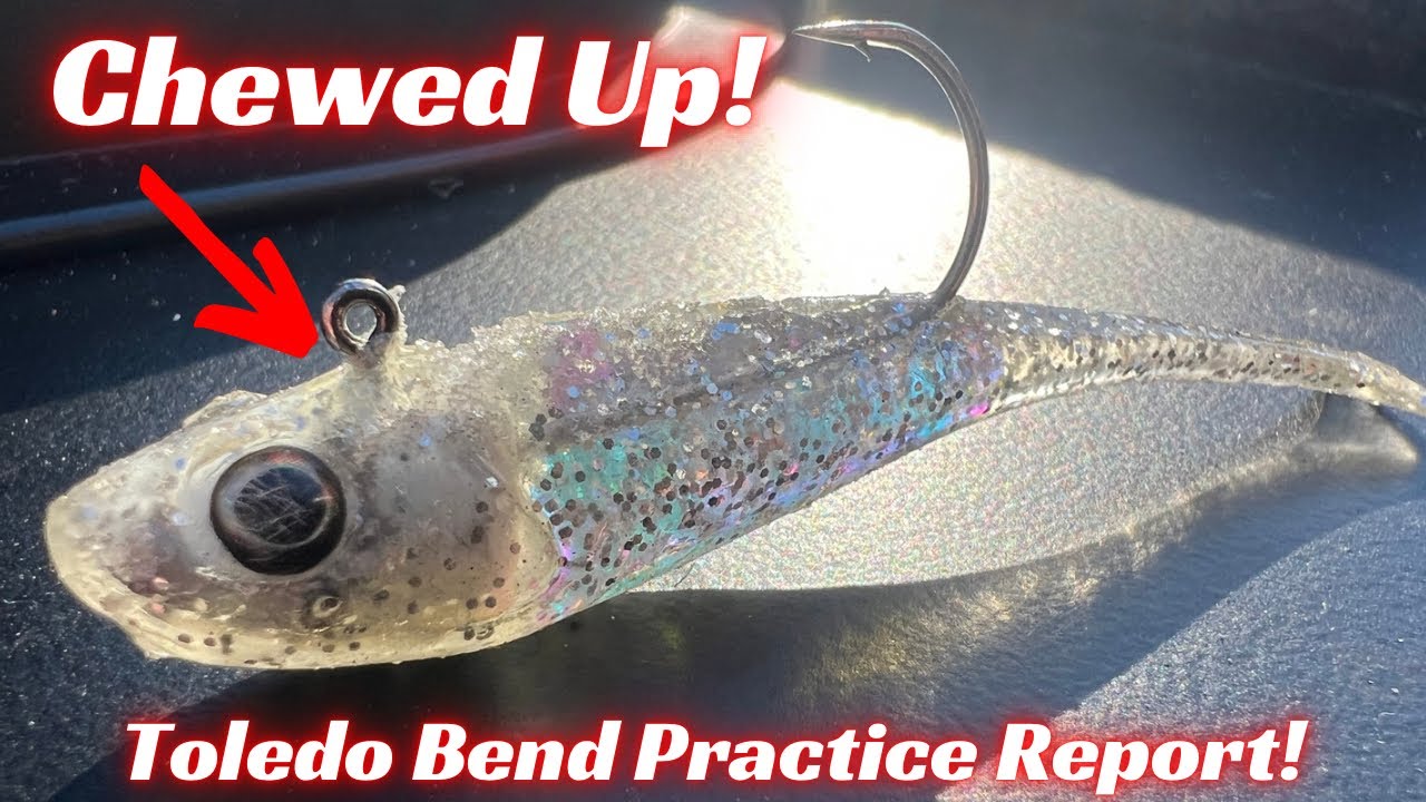 Toledo Bend Practice Recap! Day 1 Starts Today! - YouTube