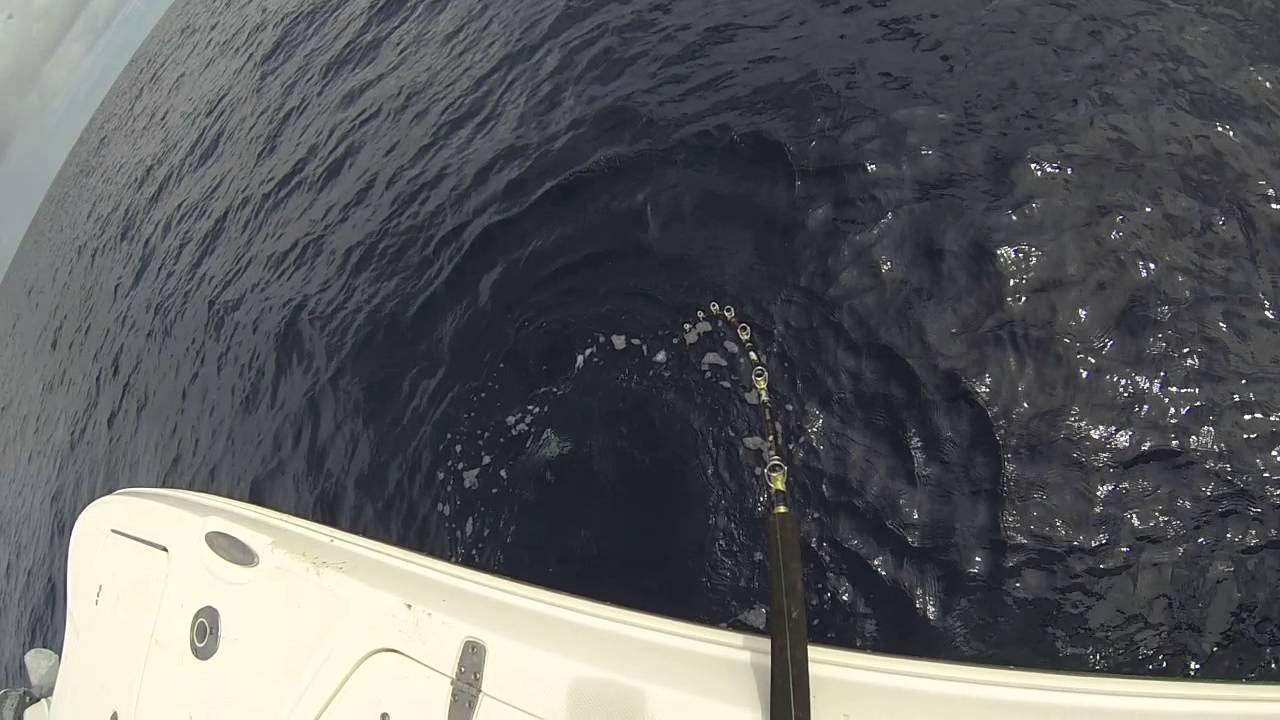 How to bleed a tuna - YouTube