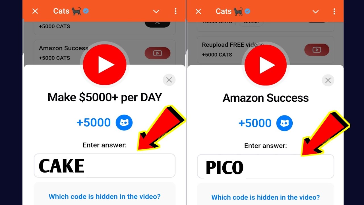 Amazon Success Cats Code | Make $5000+ per DAY Cats | 3-4 February Cats All Video Codes Today ...