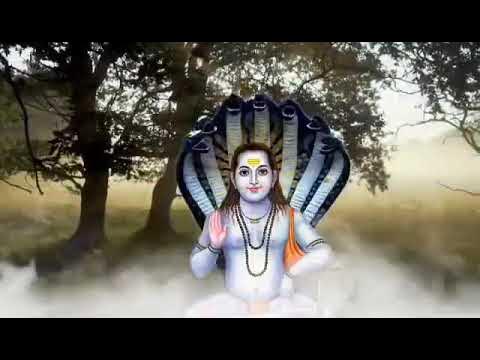 Jai Sidh Jogi Baba Balak Nath Ji Di Ji 🙏🙏 - YouTube