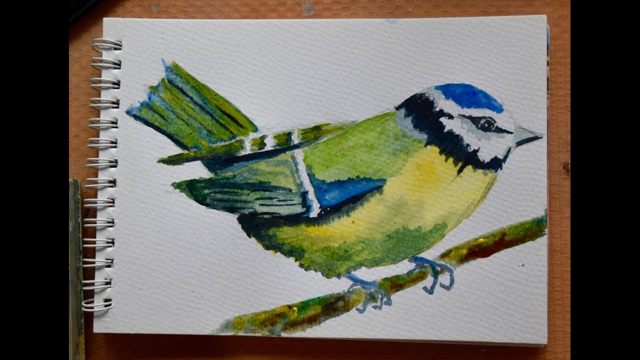Step-by-step watercolour tutorial. How to paint a blue tit with just a ...