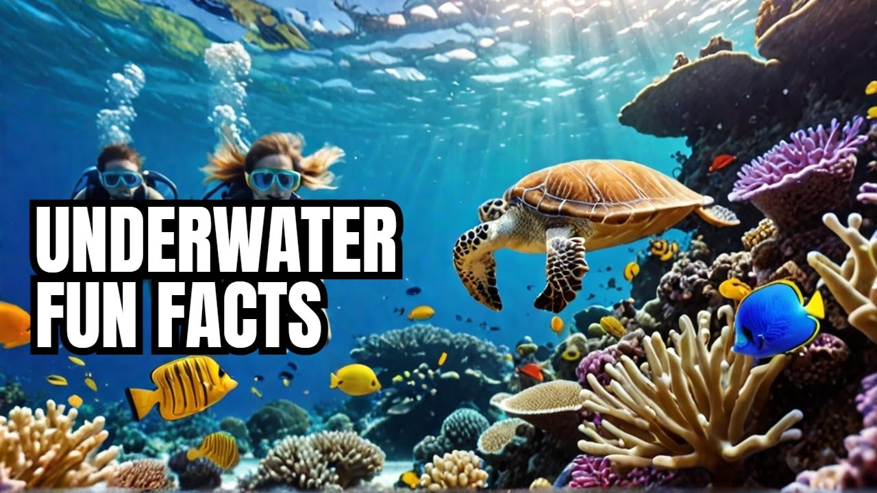 Mind-Blowing Marine Life Facts Kids Will Love - Educational and Fun ...