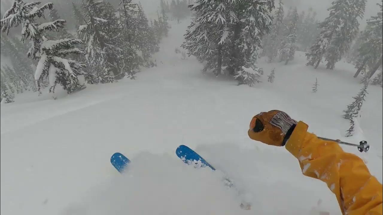 Swift Trees with Ian! - YouTube