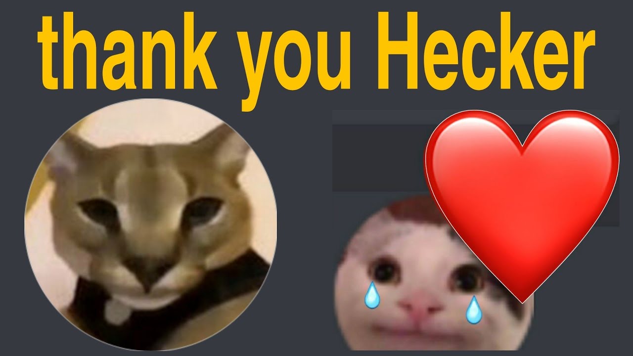 when hacker help beluga grumpy ( part 3 ) - YouTube