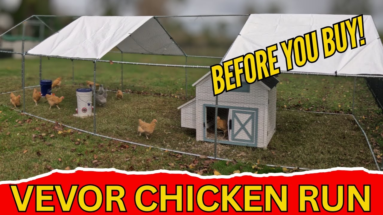 Episode 18 Product Review Vevor Chicken Run - YouTube