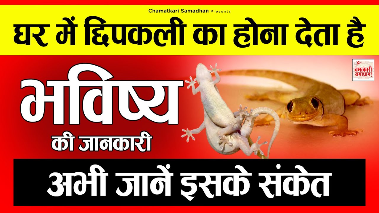 Chipkali Ka Sanket: छिपकली के शुभ और अशुभ संकेत क्या है | Chipkali ...