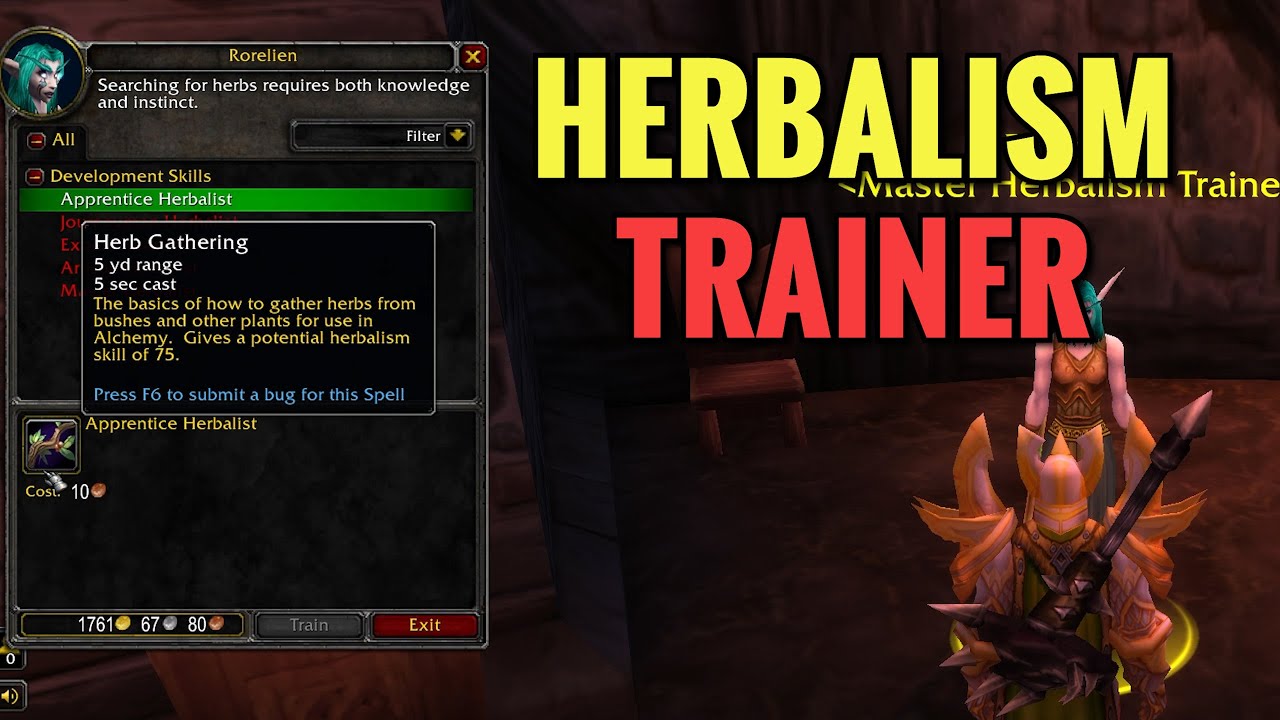 Honor Hold Herbalism Trainer Location (WoW TBC) - YouTube