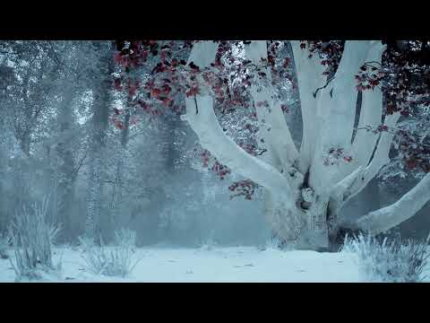 pov: you're in winterfell