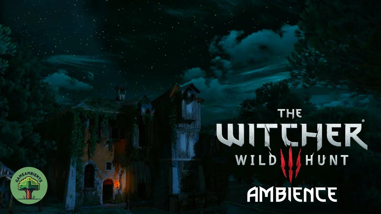Toussaint Night Ambience and Music - The Witcher 3 Soundtrack w ...