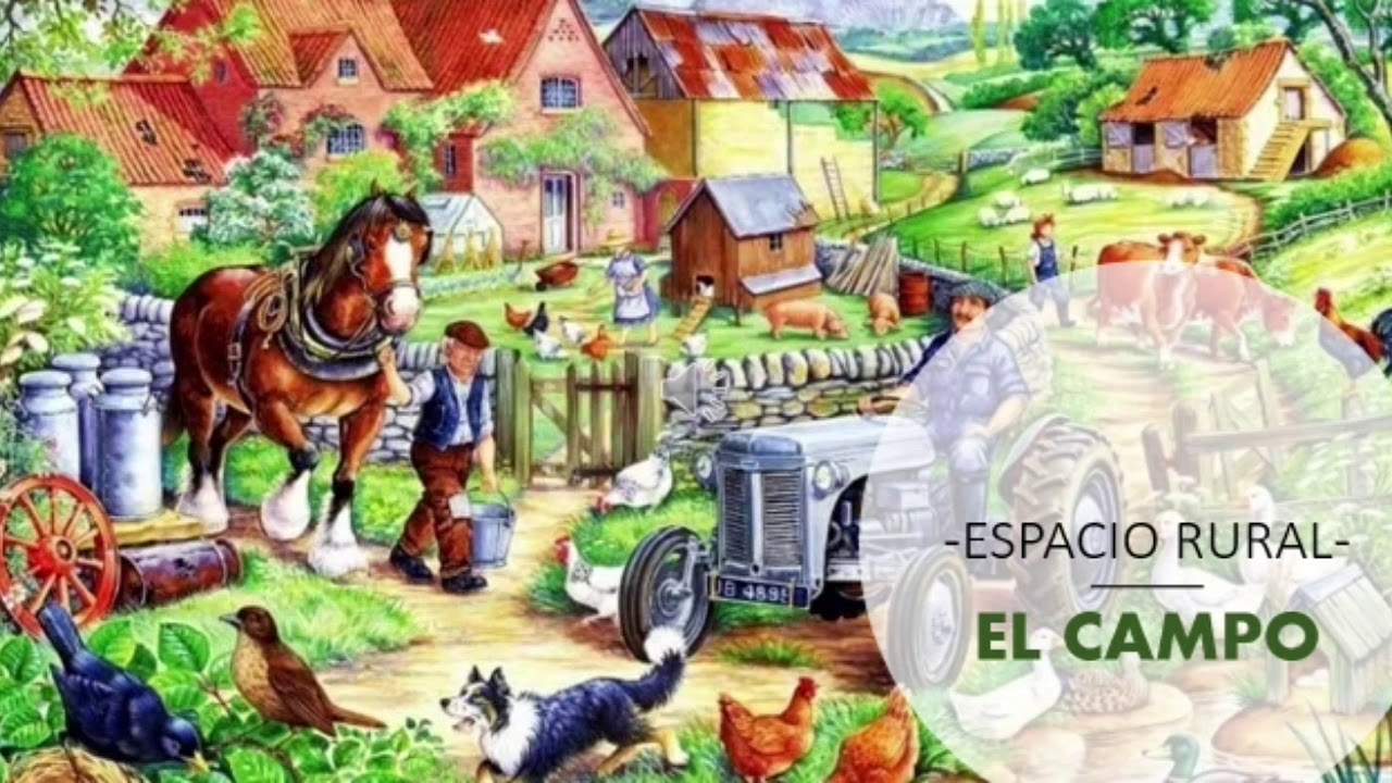 Características del campo - YouTube