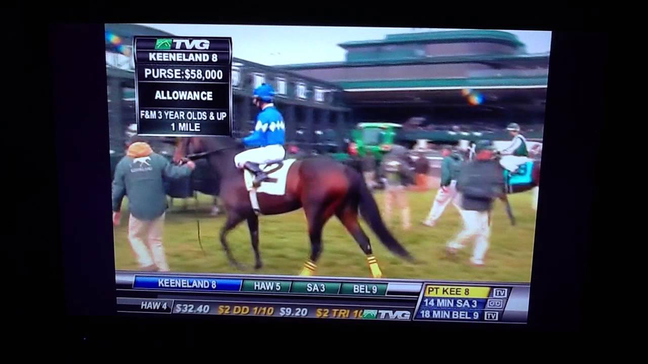 Nick Modico TVG - YouTube