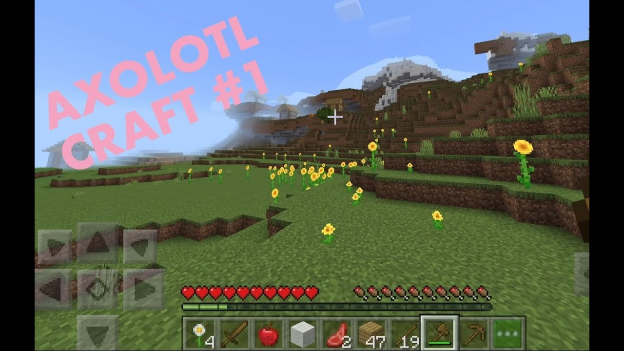 AXOLOTL CRAFT #1 A VILLAGE RIGHT THERE+iron golem attacks l Minecraft ...