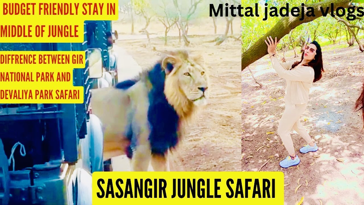 SASAN GIR JUNGLE SAFARI || DIFFRENCE BETWEEN GIR NATIONAL PARK AND ...