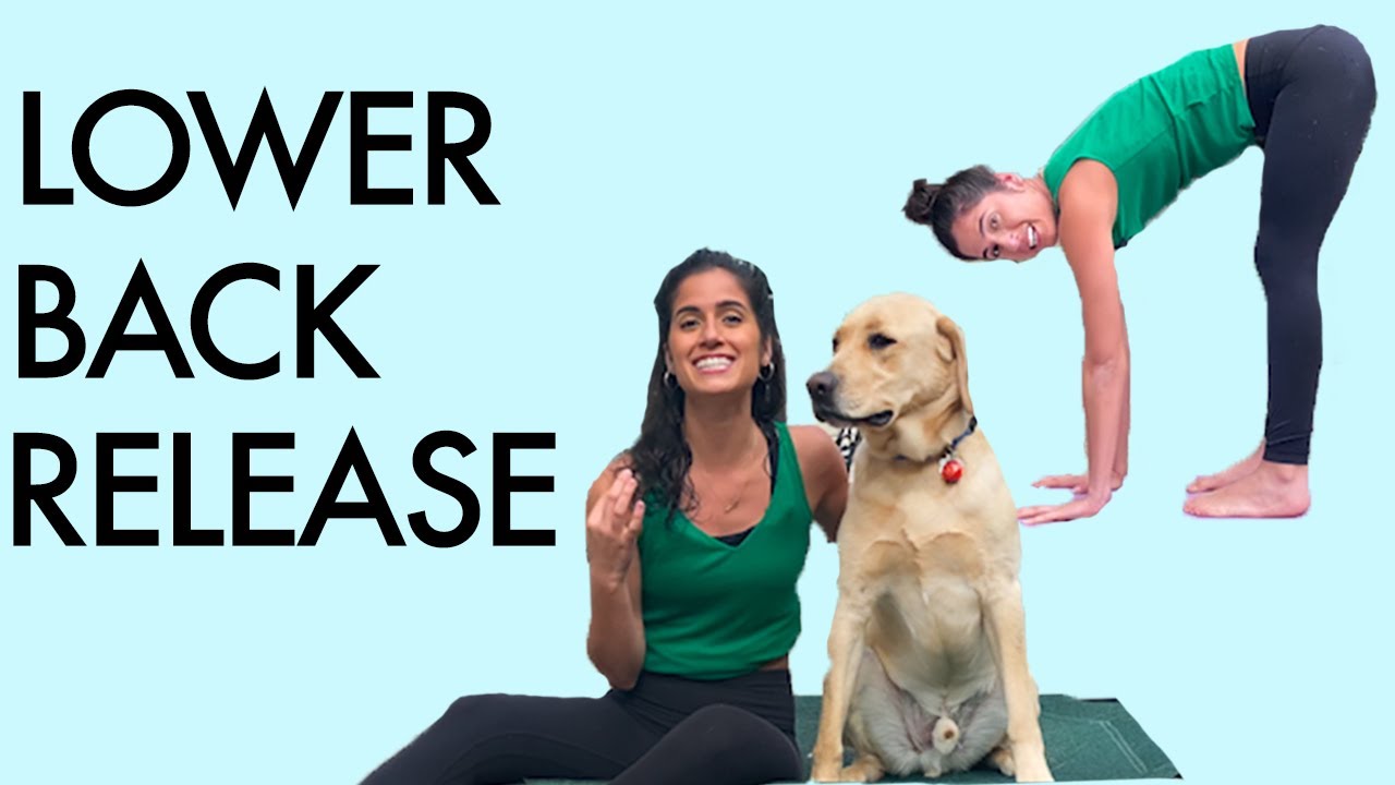 Easy Yoga For Lower Back Release | Yoga With Lisa B - YouTube