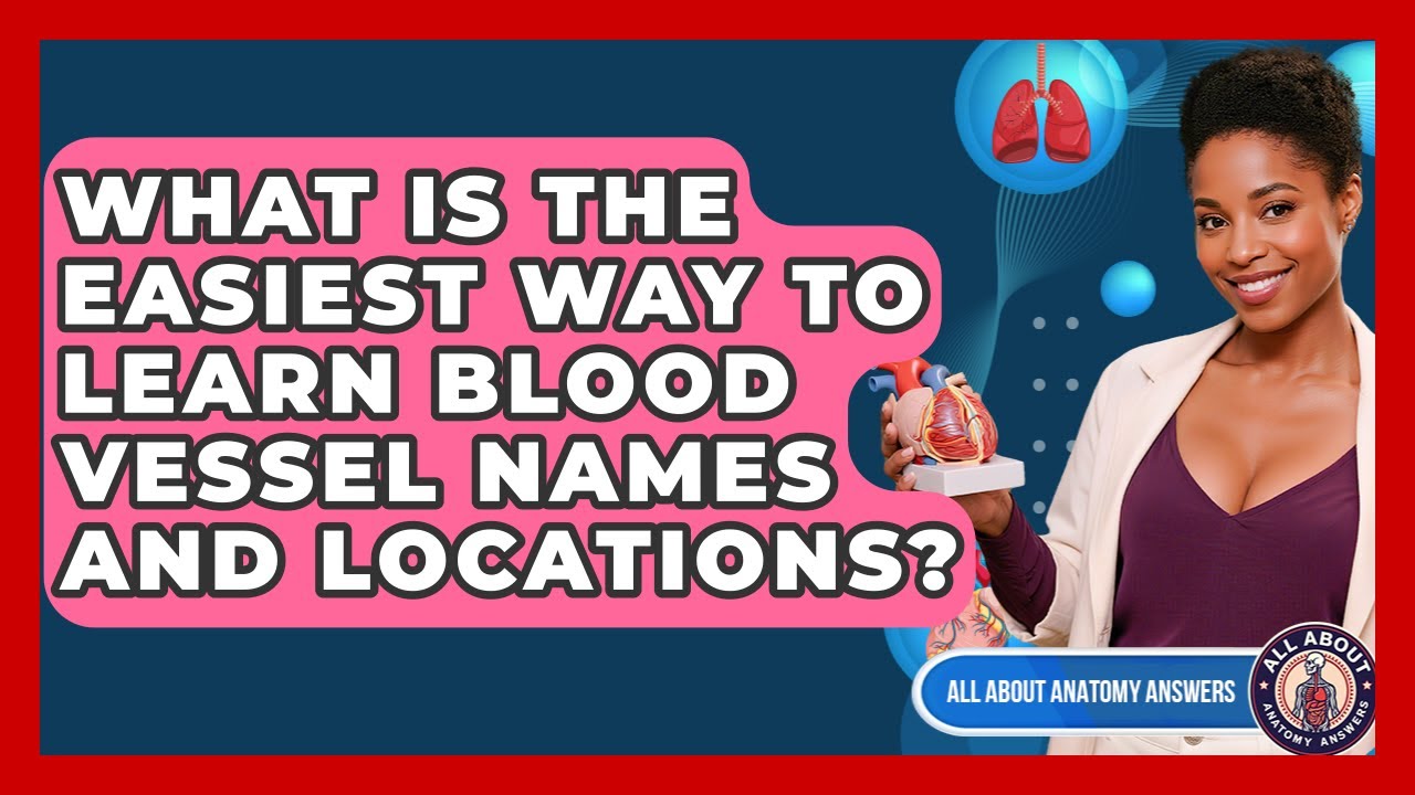 What Is The Easiest Way To Learn Blood Vessel Names And Locations ...