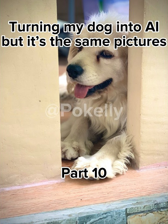 Turning my dog into AI but it’s the same pictures #ai #aidog #dog # ...