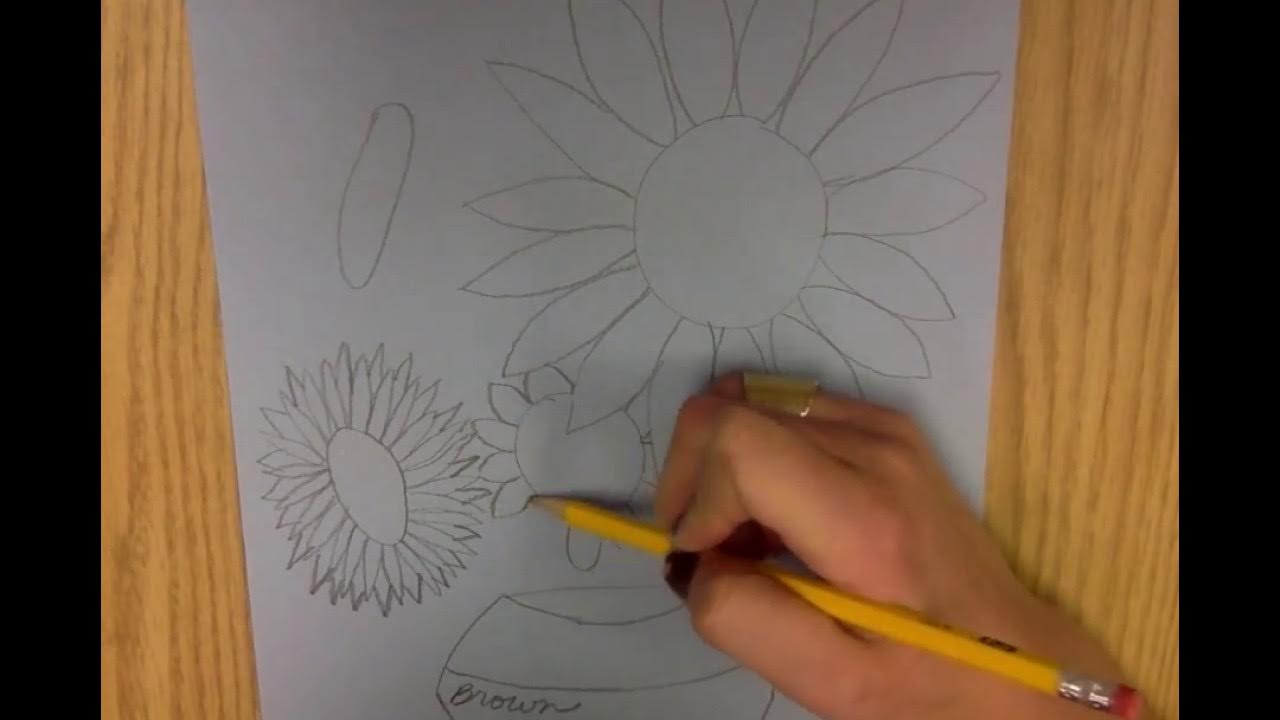 Vincent van Gogh Sunflower Drawing Demo 1 - YouTube