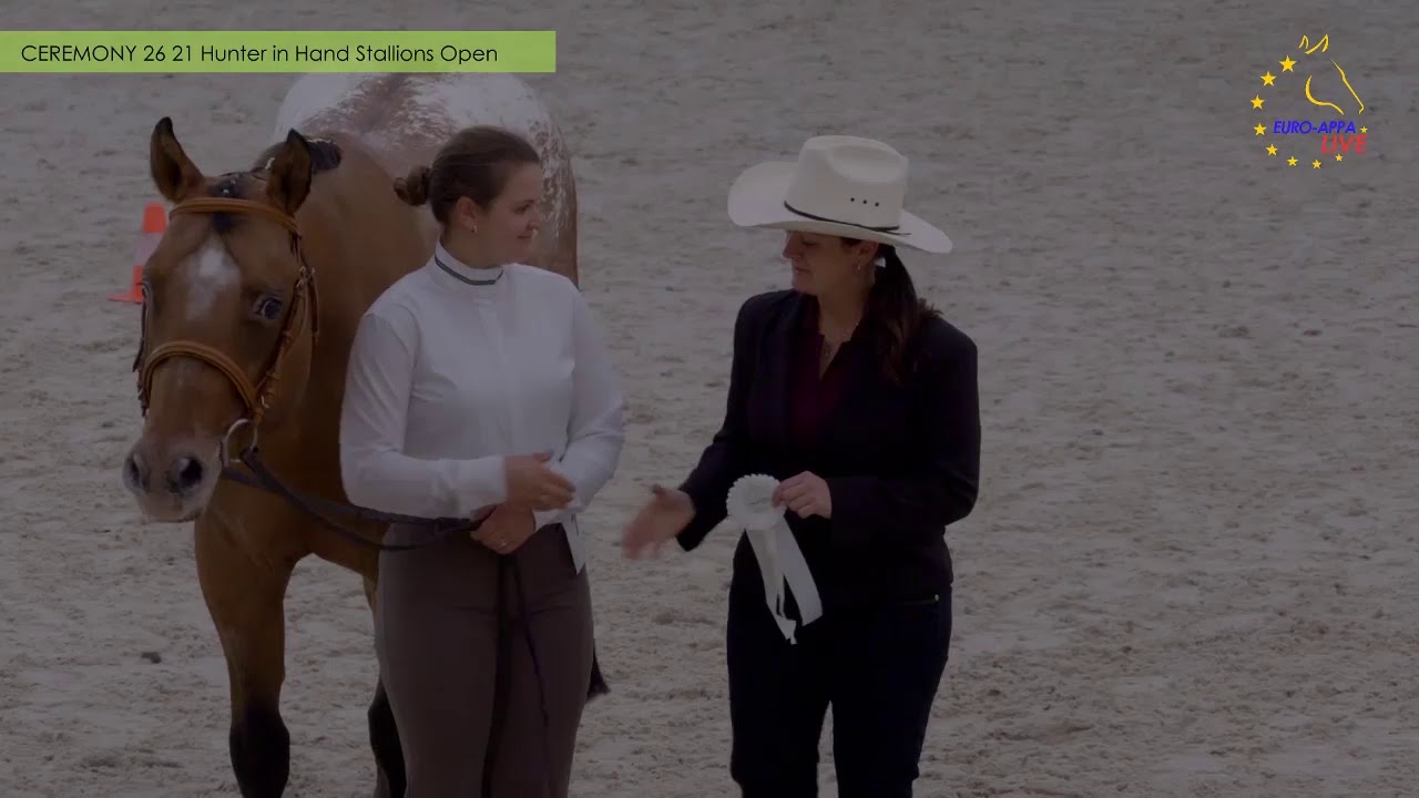 Ceremony 26 - 21 Hunter in Hand Stallions Open (Friday) - YouTube