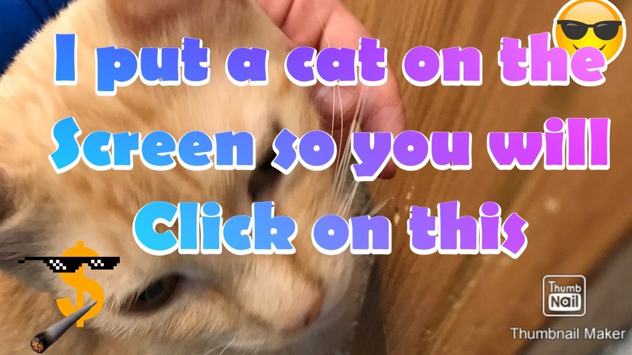 Gamer's Cringe And Friends - YouTube