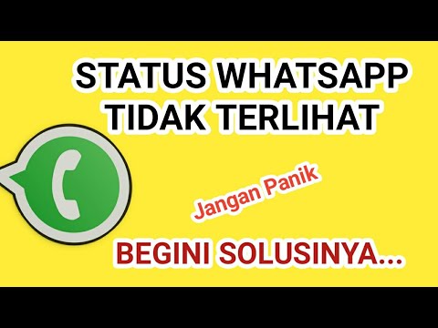 Penyebab Status WhatsApp Tidak Muncul Di Orang Lain