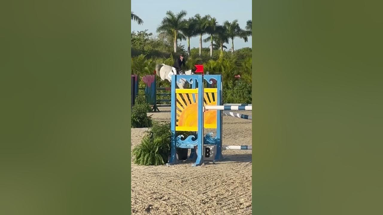 #ForSale Camarillo jumping a great clear WEF 1.25m DM or call 908.399. ...