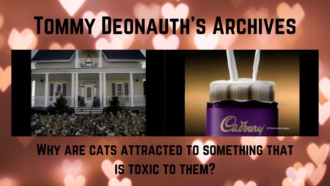 Cadbury Dairy Milk ad - Cats (February 13th, 2000) - YouTube