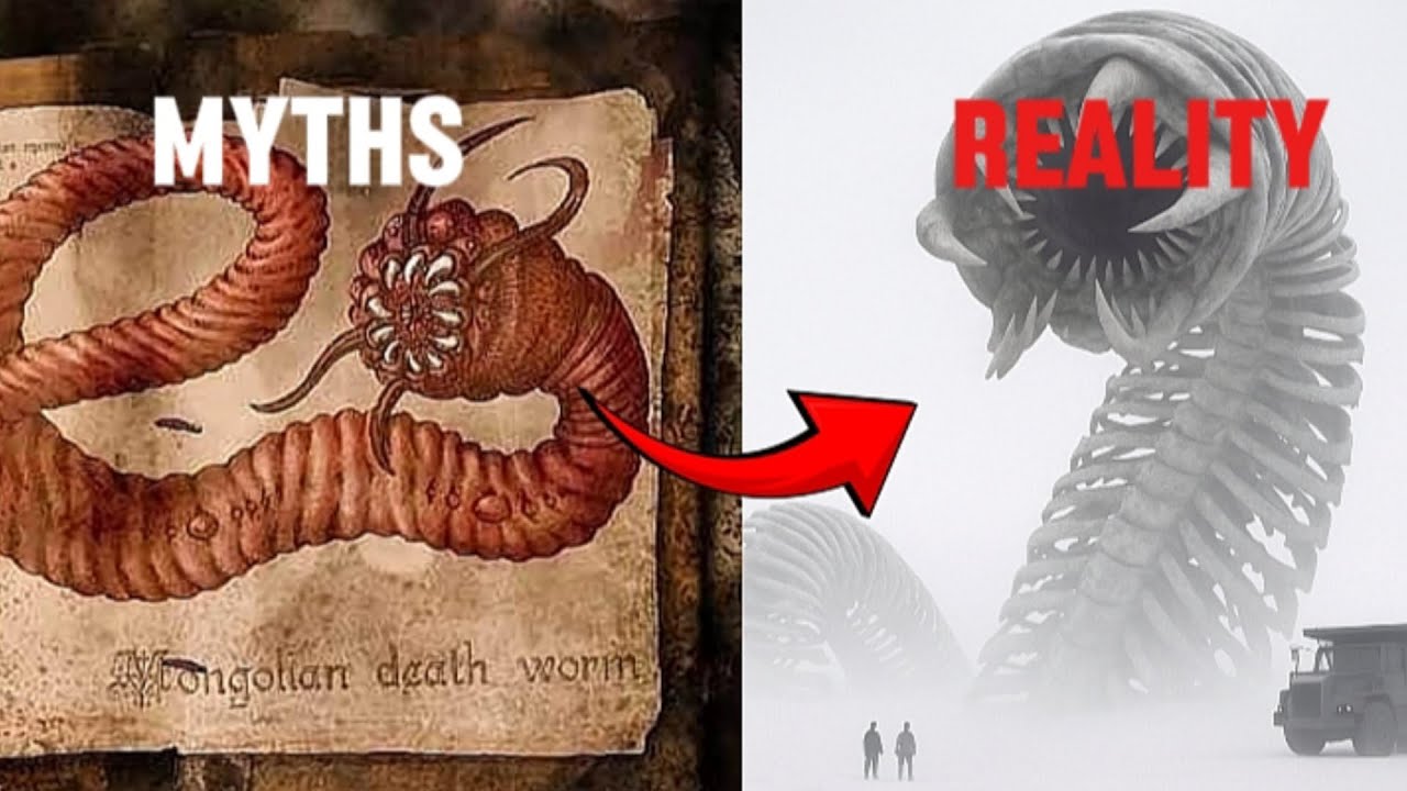 Myth or Reality? The Mystery of the Mongolian Death Worm - YouTube