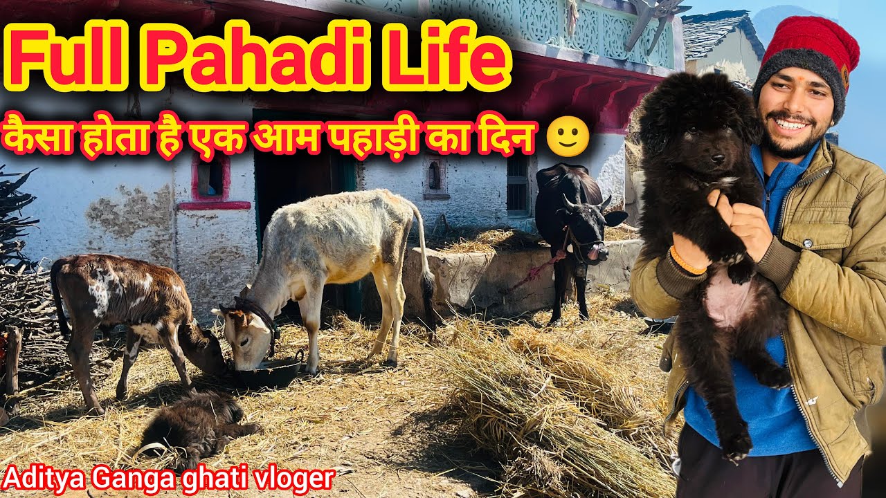 Full Pahadi Life Pahadi Lifestyle Vlog Aditya Nautiyal Vlog Pahadi ...
