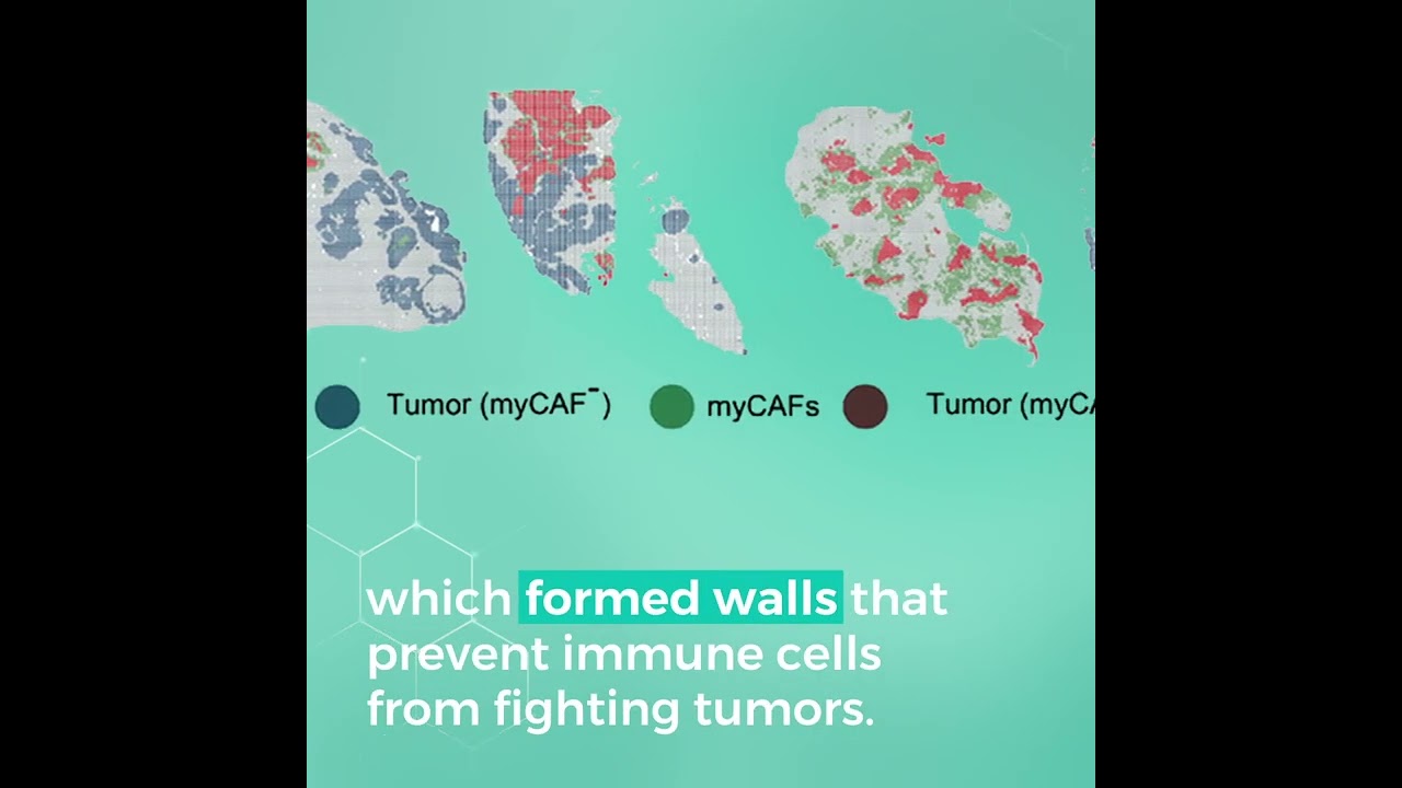 Did you know some cancer cells are shielded from our immune system ...