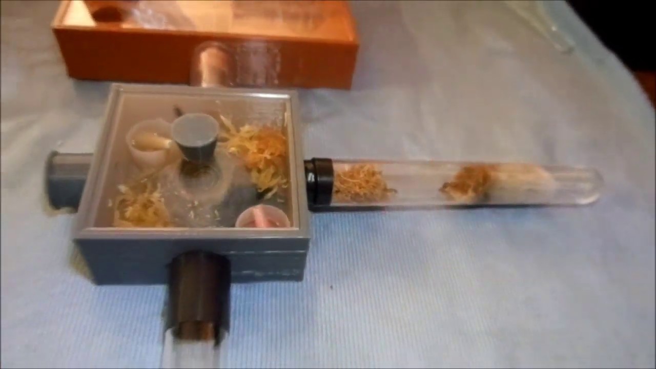 "Formica Modular Ant Farm Kit" trial part 1 - YouTube
