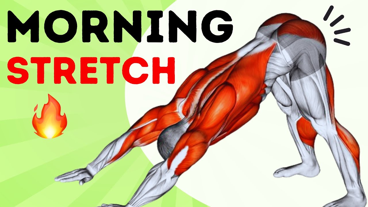The Best Morning Stretching Exercises For Beginners - YouTube