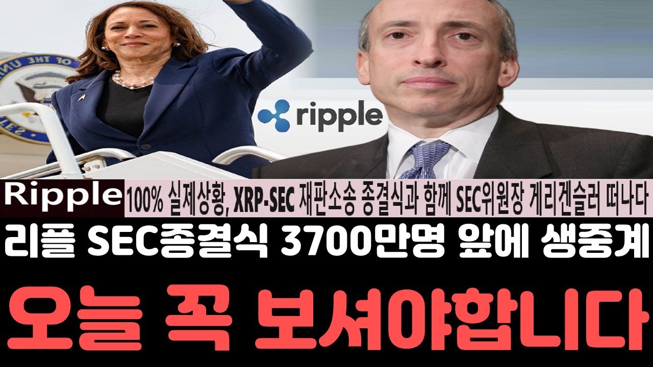 리플전망 리플 Xrp Sec 재판소송 종결과 함께 3700만명 앞에서 생중계방송까지 오늘 영상은 꼭 보셔야합니다 리플전망 리플호재 리플급등 리플코인 리플소송