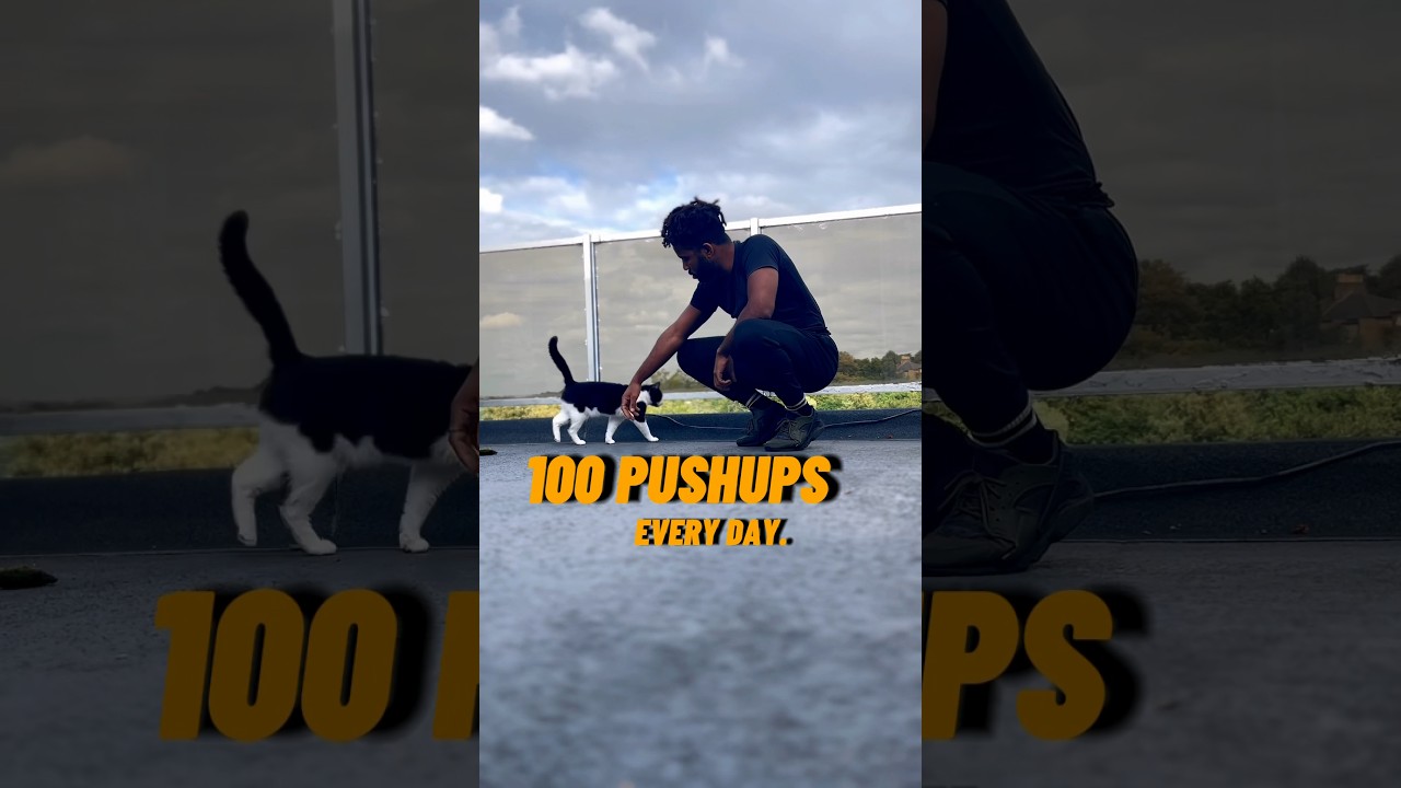 100 Pushups, 10 Finger Pushups, 1 Cat Photobomb 🐈 #pushups #catlover # ...
