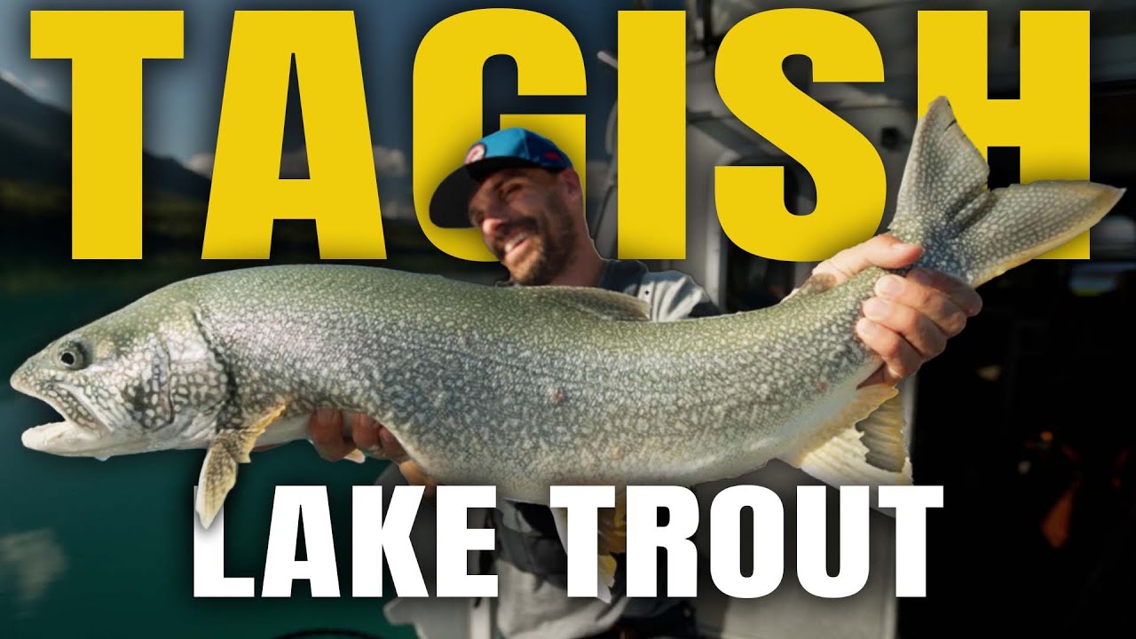 Tagish Lake Overnight Solo Fishing Trip - YouTube