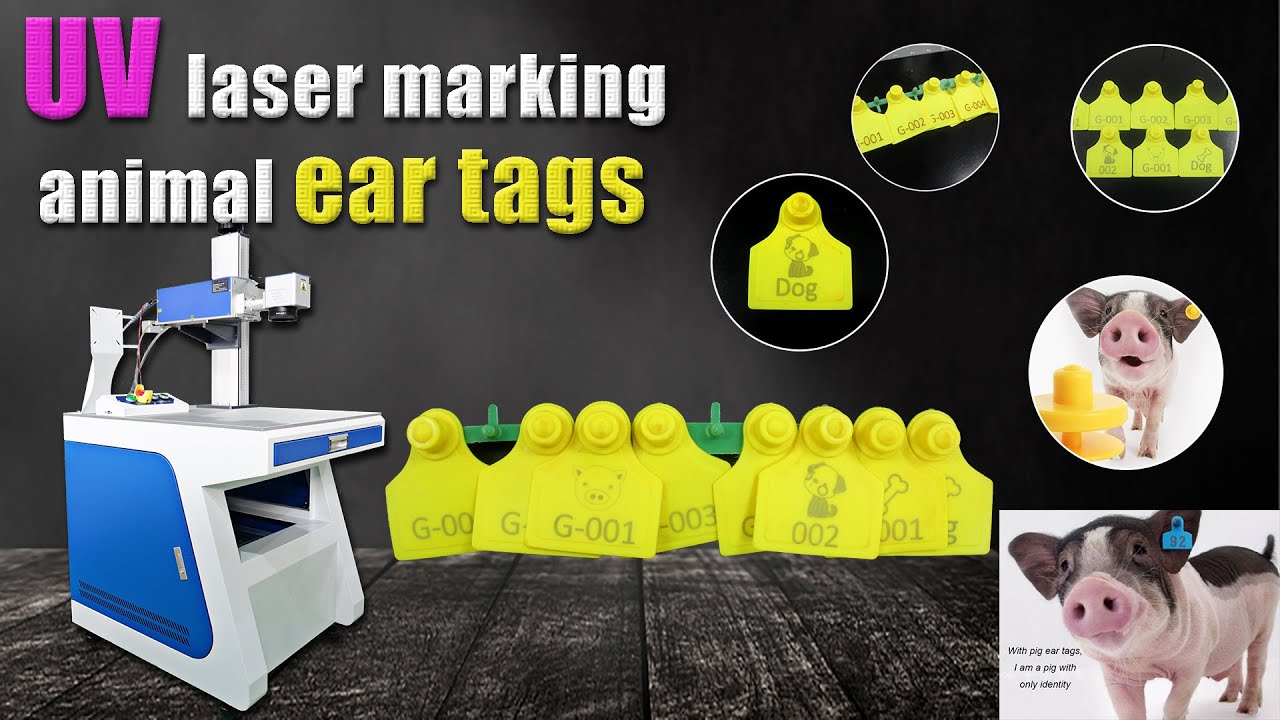 UV Laser Marking Machine Printing on Plastic Animal Ear Tag for Cattle ...