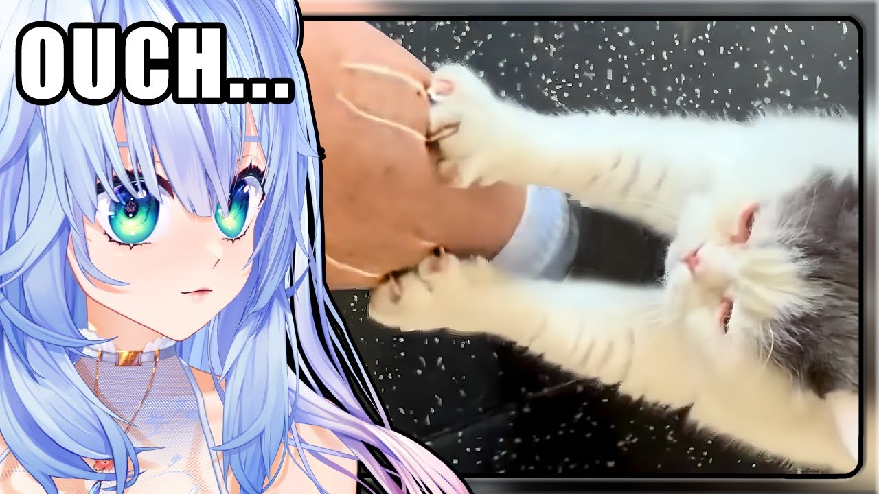 Bro is ACTUALLY FEROCIOUS!!! | Mifuyu Reacts to UNUSUAL MEMES ...