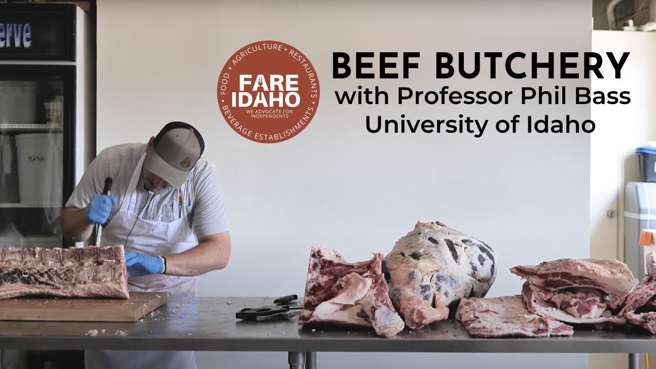 Beef Butchery with Professor Phil Bass - YouTube