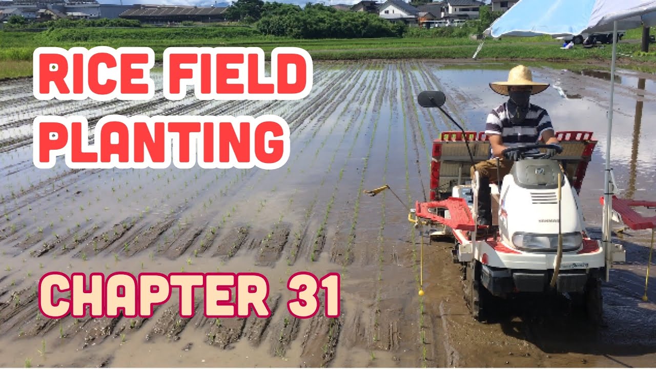 Rice Field 】rice planting machine,yanmar RR400,Japanese,Chapter31 - YouTube
