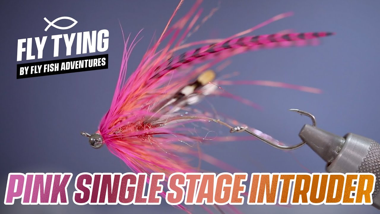 Pink Intruder - By Stuart Foxall - YouTube