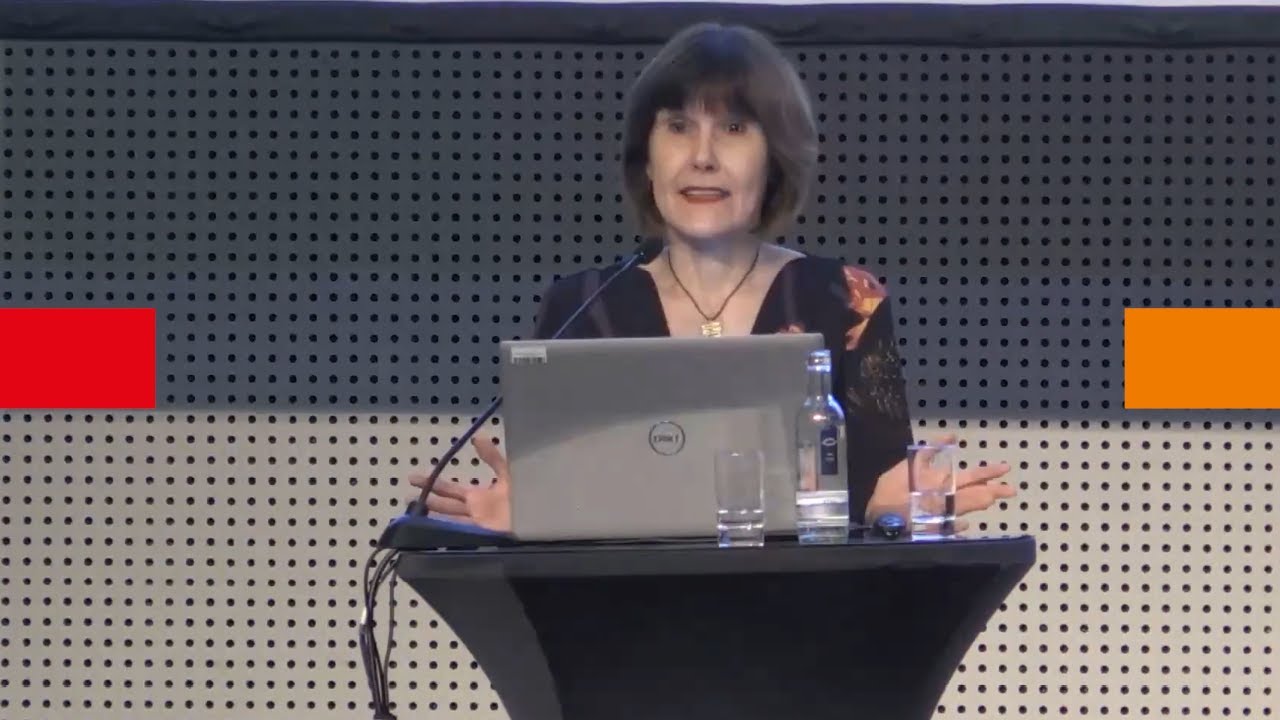 FMM Conference 2022 - Currency hierarchy and the financial periphery ...