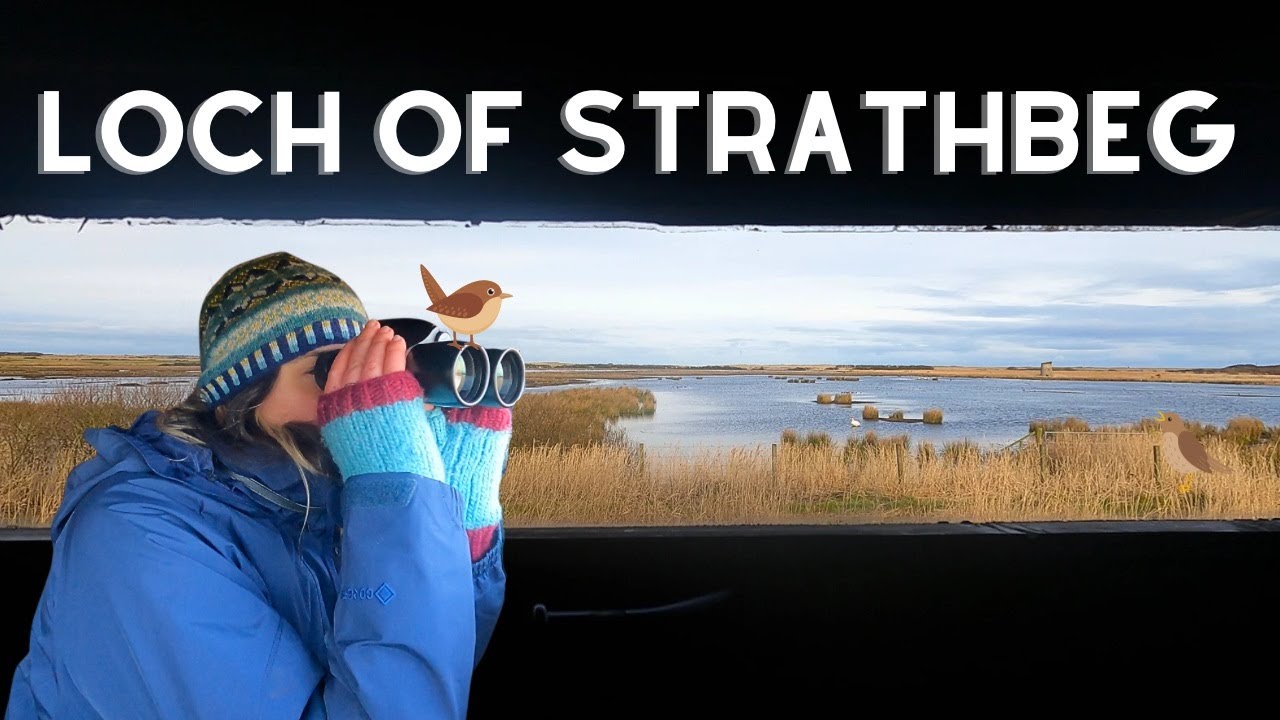 Exploring the Loch of Strathbeg (birding edition!) - YouTube