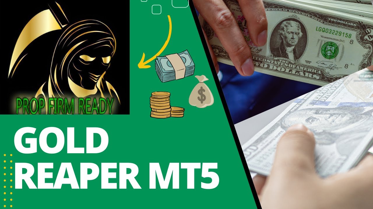 The Gold Reaper | V2.1+ Set MT4 EA | ( Build 1425 ) | ☑️No DLL - YouTube