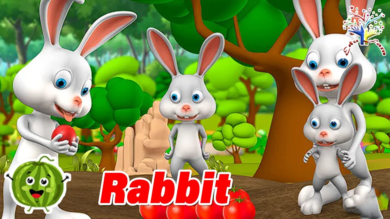 The Animal Sounds Song || Rabbit || Kids Nursery Rhymes | Best Learning ...
