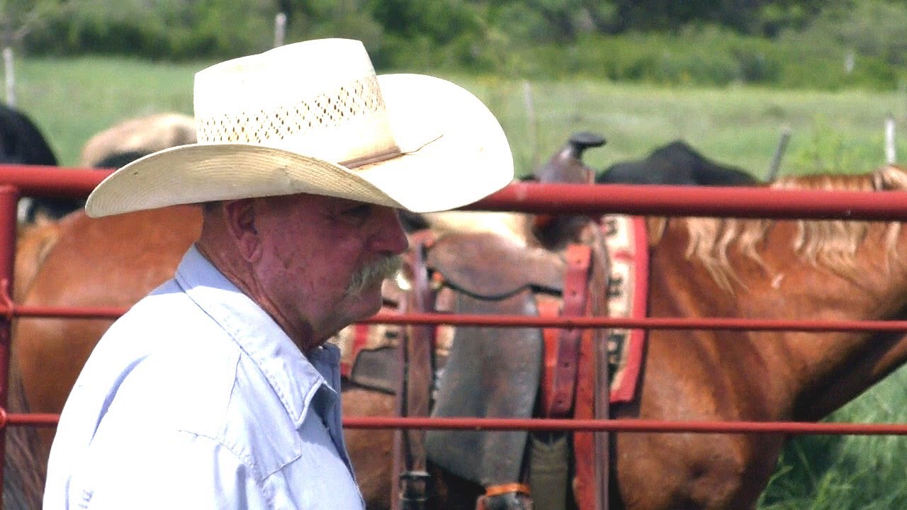 LX Ranch - 2019 Spring Calf Work - Part 1 - YouTube